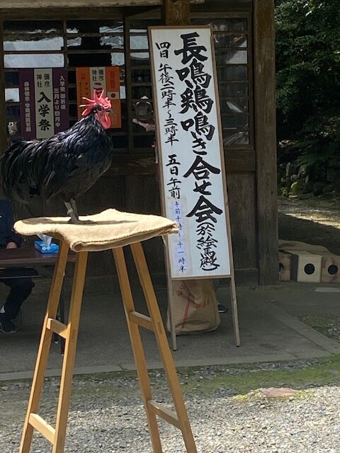 長鳴鶏とイルカ｜山下湘南夢クリニック｜藤沢市の不妊治療/体外受精